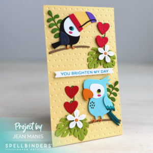Spellbinders | Tropical Friends - Right as Rain