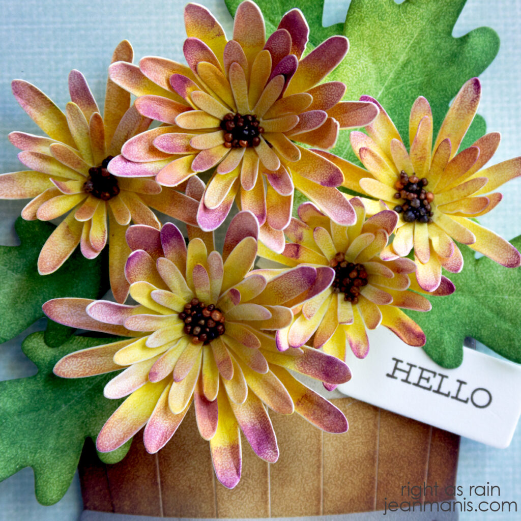 Elizabeth Craft Designs | Handcolored Mums - Right as Rain